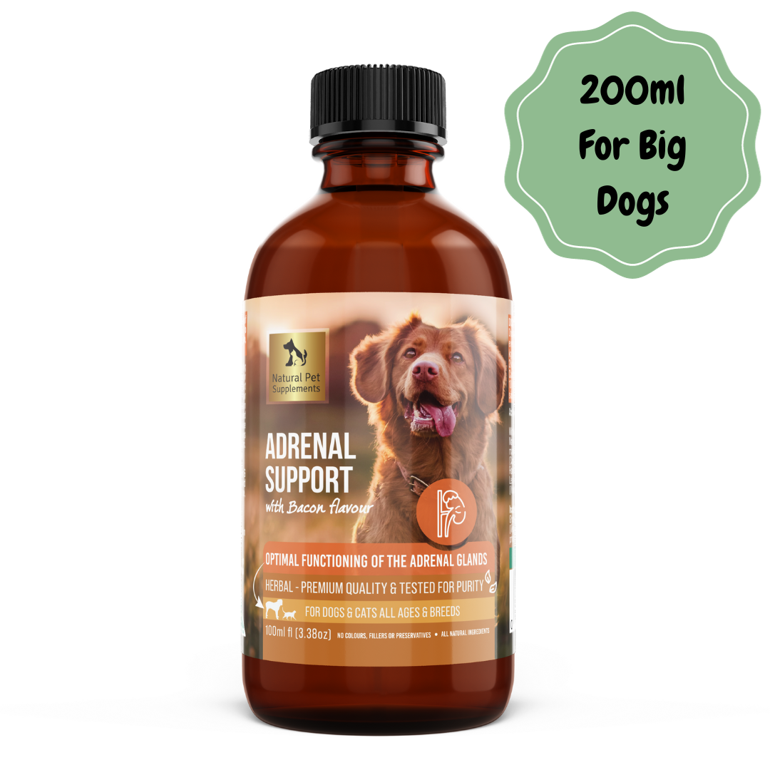 Adrenal Support Herbal For Dogs And Cats Natural Pet Supplements adrenal-support-herbal-for-dogs-and-cats-natural-pet-supplements